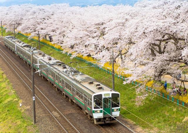 Alles wat je moet weten over de Japanse Shinkansen-kogeltrein ...